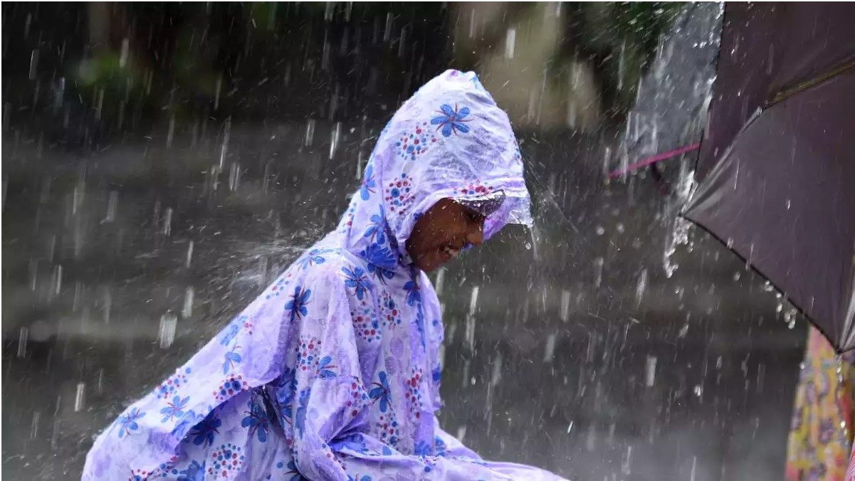 Rain caused mayhem to crops and cities but clouds have a silver lining ...